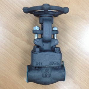 ASTM A105N Forged Gate Valve, 800LB, NPT, API 602 - Landee